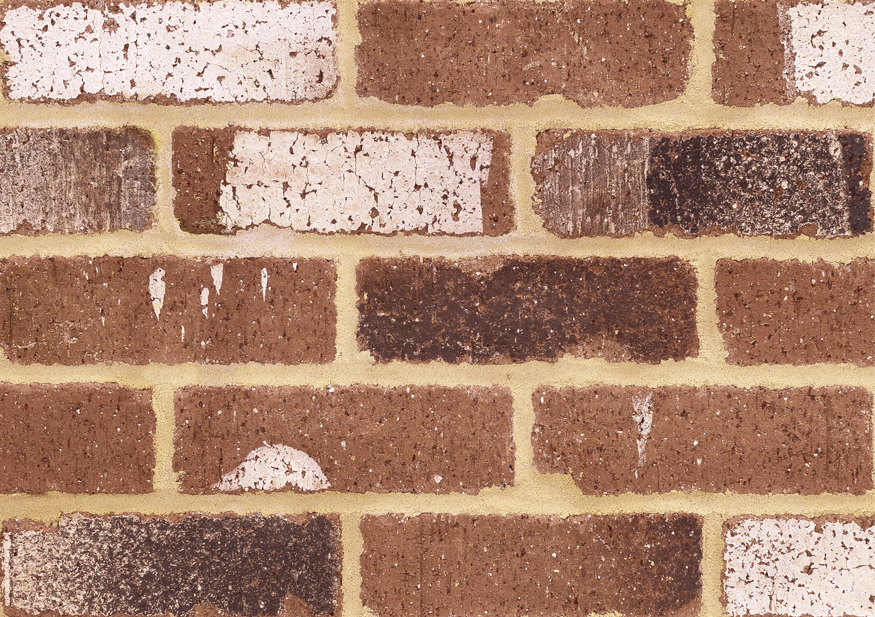 Bishops House Tumbled | Midland Brick